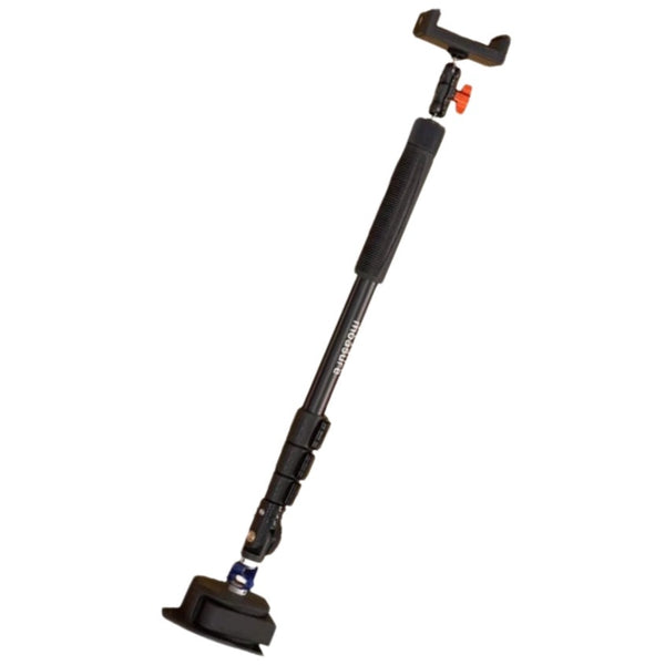 Area - BIOWEB Global