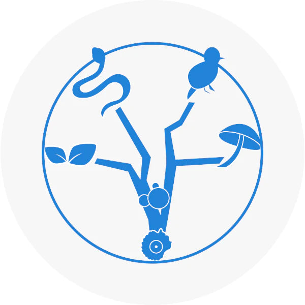 Systematics & Taxonomy - BIOWEB USA
