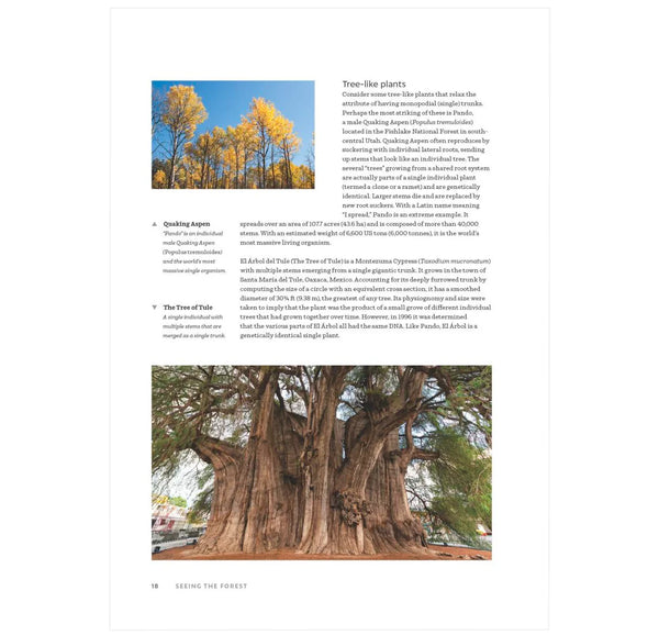 The World Atlas of Trees and Forests: Exploring Earth's Forest Ecosyst ...