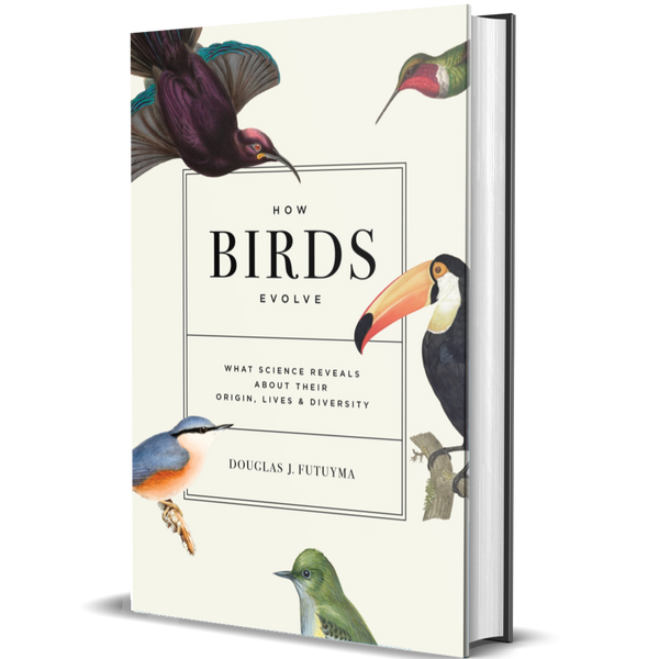 How Birds Evolve What Science Reveals about Their Origin, Lives, and D ...