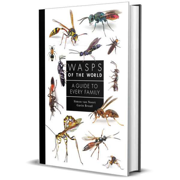 Wasps of the World: A Guide to Every Family - BIOWEB USA