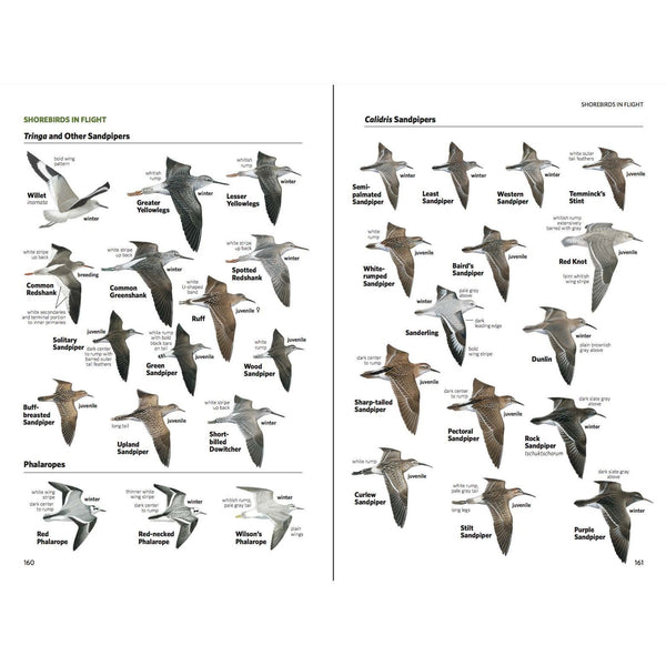 National Geographic Field Guide to the Birds of North America, 7th Ed ...