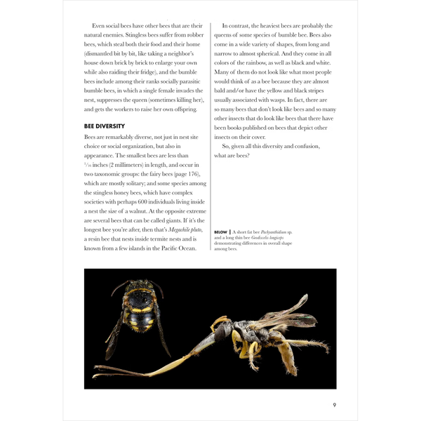 Bees of the World: A Guide to Every Family - BIOWEB USA