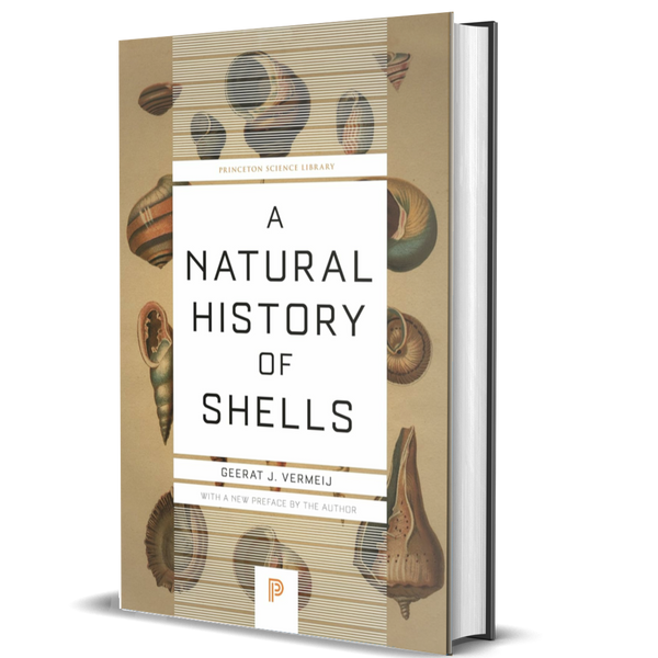 A Natural History of Shells - BIOWEB USA