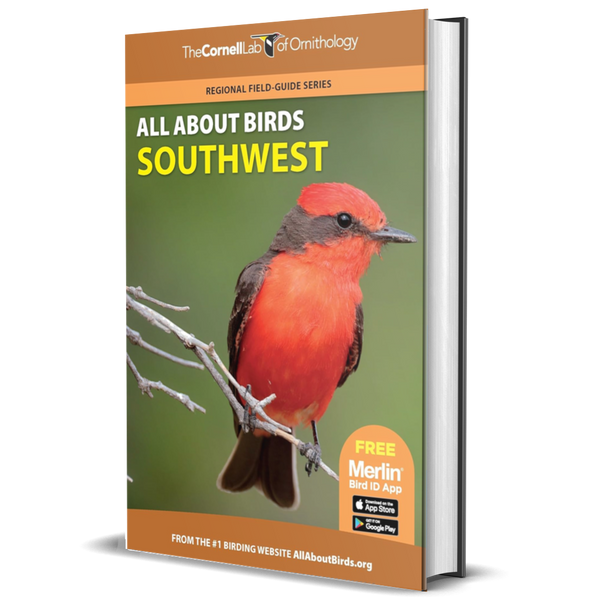 All About Birds Southwest - BIOWEB USA