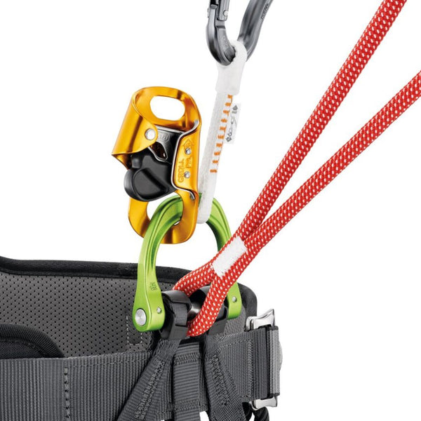 Canyoning Harness with Padded Belt and CANYON Protection - BIOWEB USA