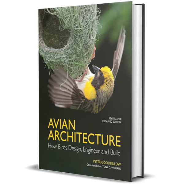 Avian Architecture Revised and Expanded Edition: How Birds Design, Eng ...