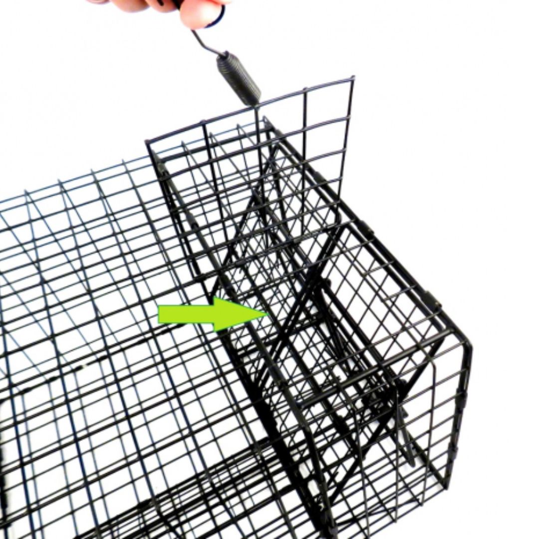 Comstock Double Door Beaver Trap with Escape Door ²⁵ - BIOWEB USA