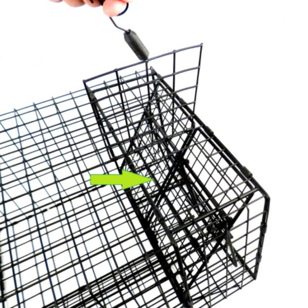 Comstock Double Door Beaver Trap with Escape Door ²⁵ - BIOWEB USA