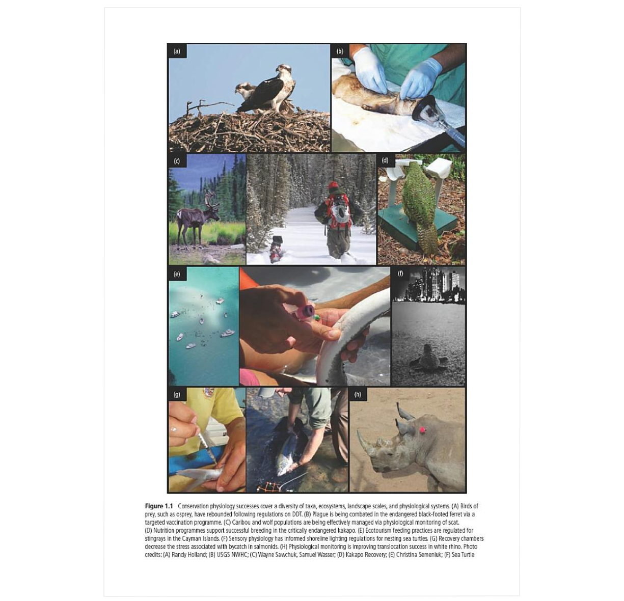 Conservation Physiology: Applications for Wildlife Conservation and Ma - BIOWEB Global