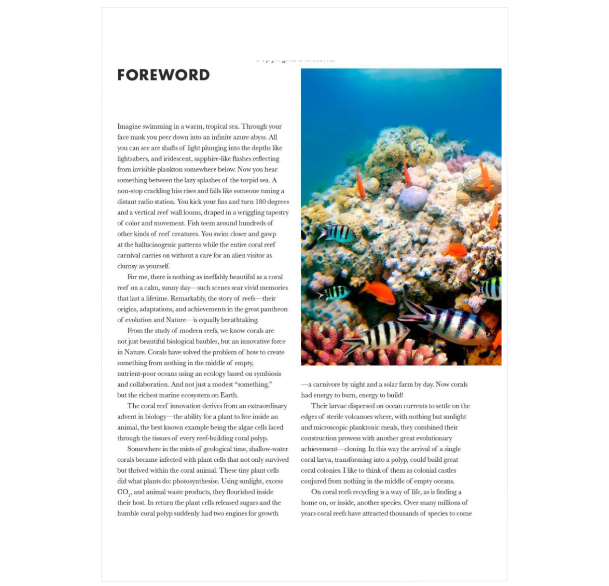 Coral Reefs: A Natural History - BIOWEB Global