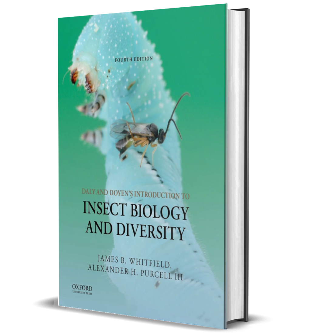 Daly and Doyen's Introduction to Insect Biology and Diversity - Discon ...