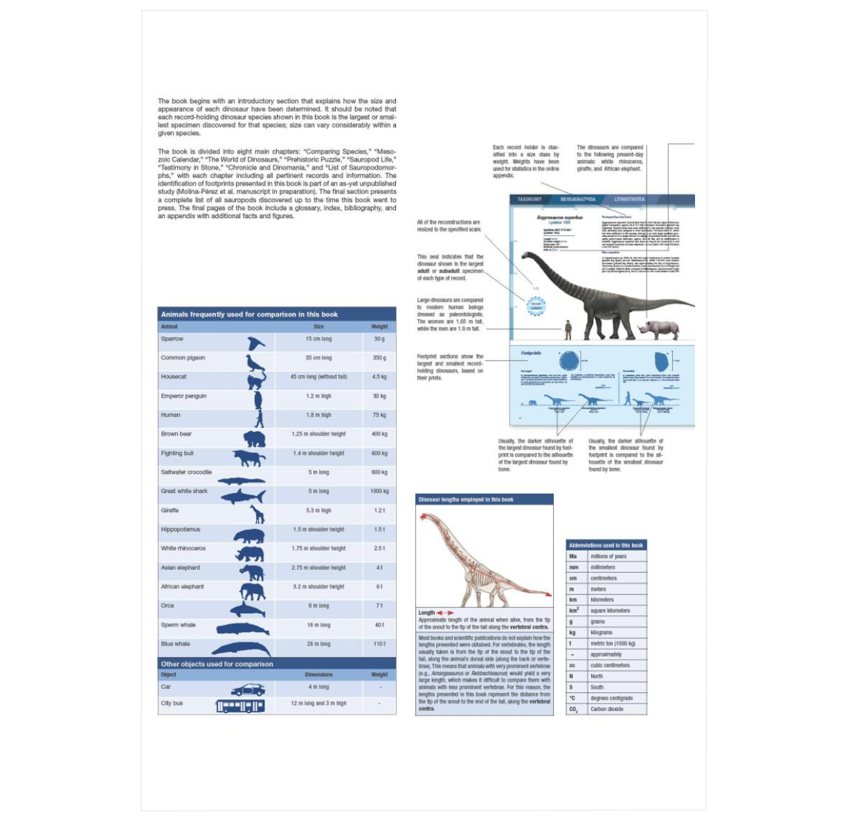 Dinosaur Facts and Figures: The Sauropods and Other Sauropodomorphs ...