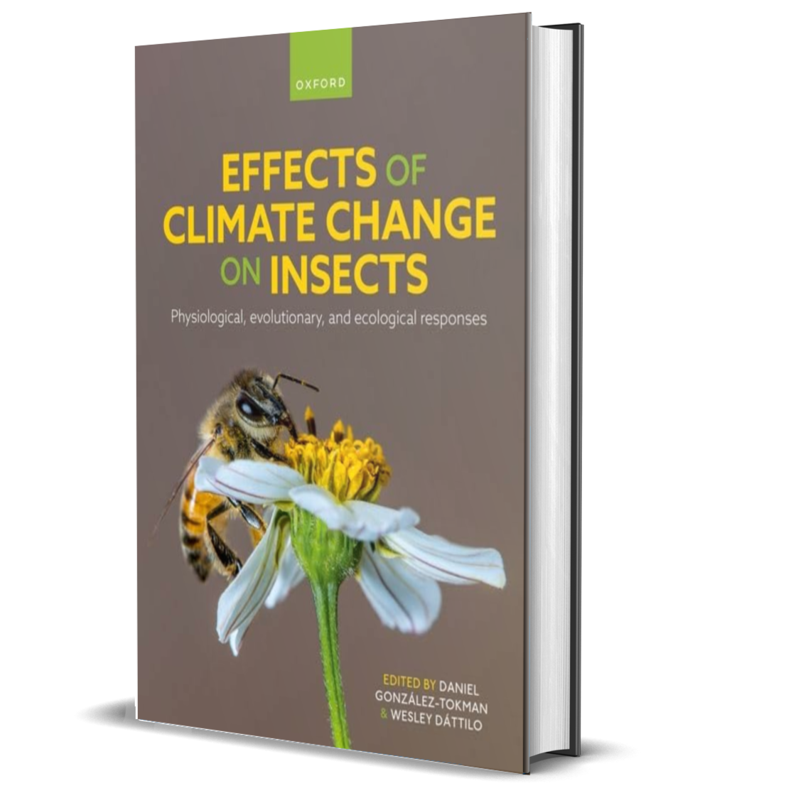 Effects of Climate Change on Insects: Physiological, Evolutionary, and ...