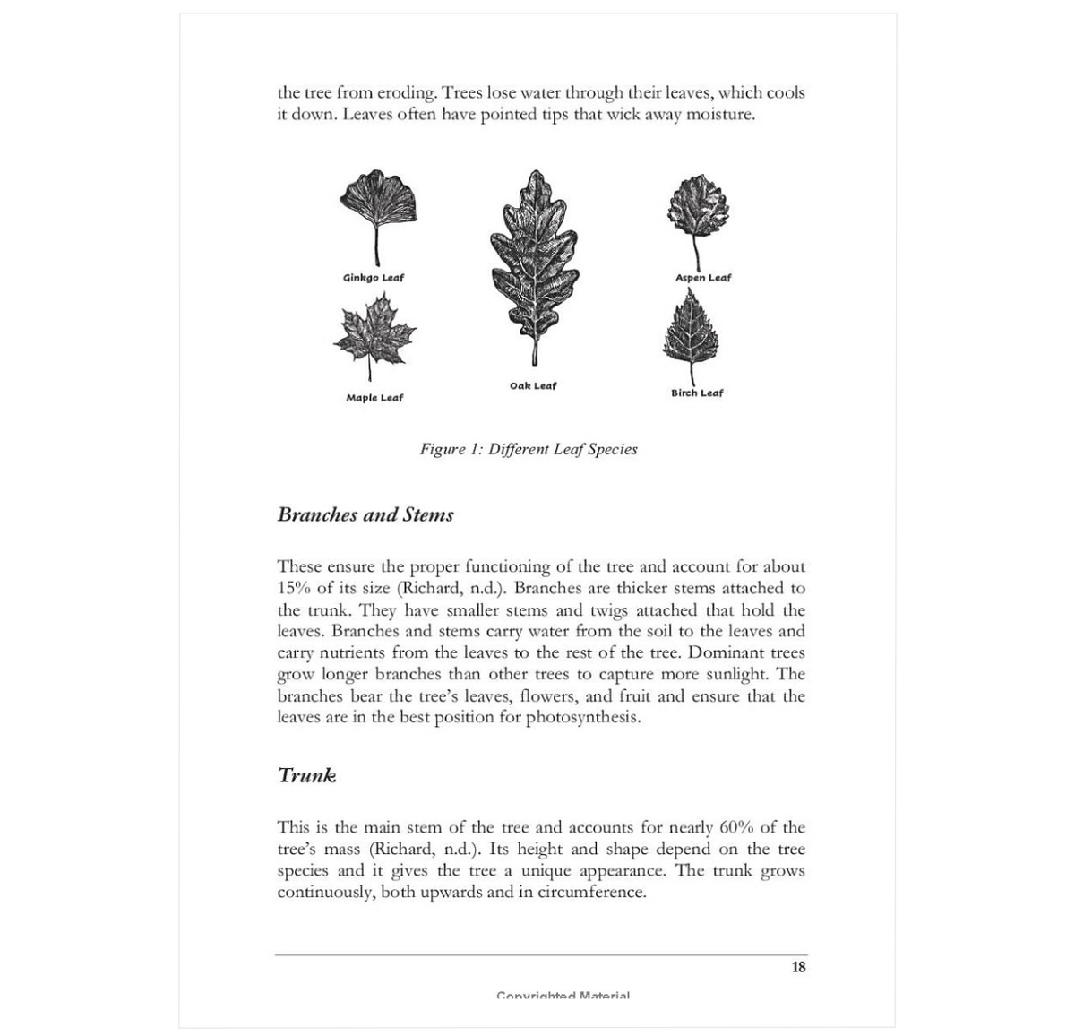 Explore The Secret Nature of Trees: Fascinating Facts About Tree Commu ...
