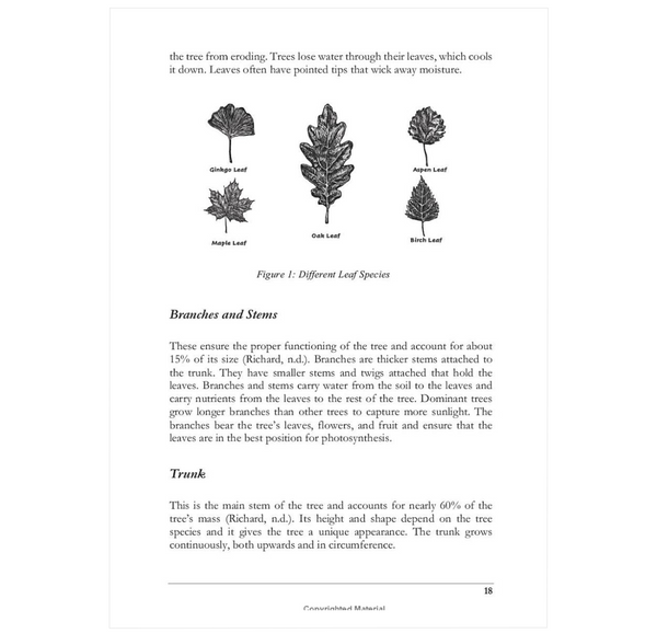 Explore The Secret Nature of Trees: Fascinating Facts About Tree Commu ...