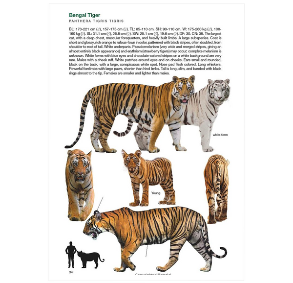 Felids and Hyenas of the World: Wildcats, Panthers, Lynx, Pumas, Ocelo ...