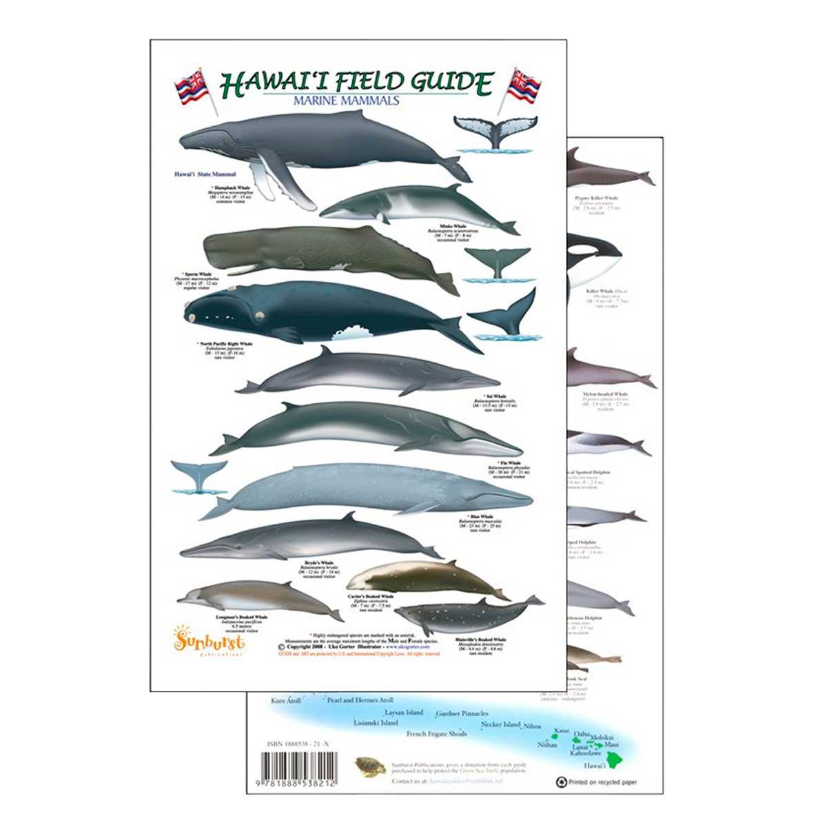 Hawaii Marine Mammal Identification Guide - BIOWEB USA
