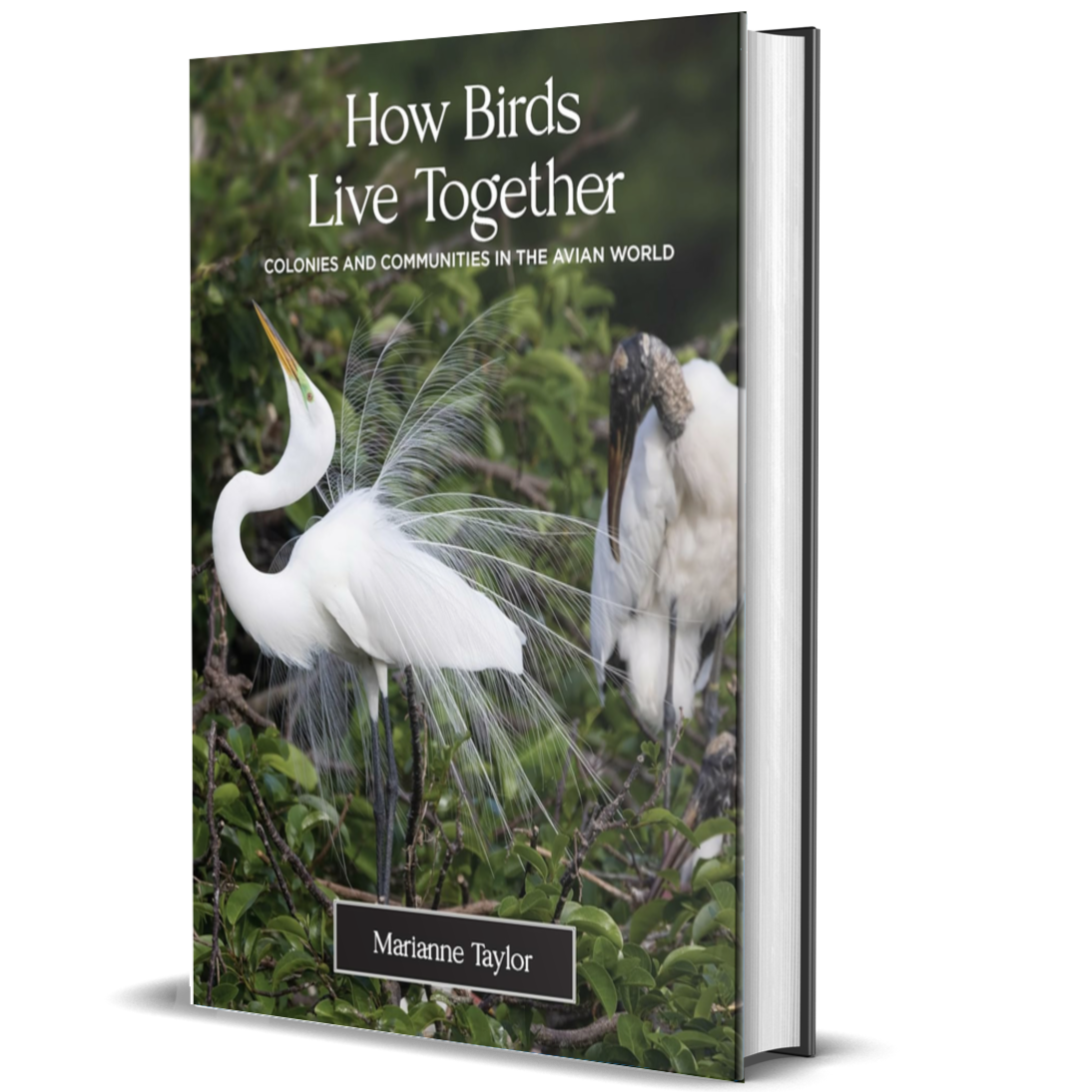 How Birds Live Together: Colonies and Communities in the Avian World ...