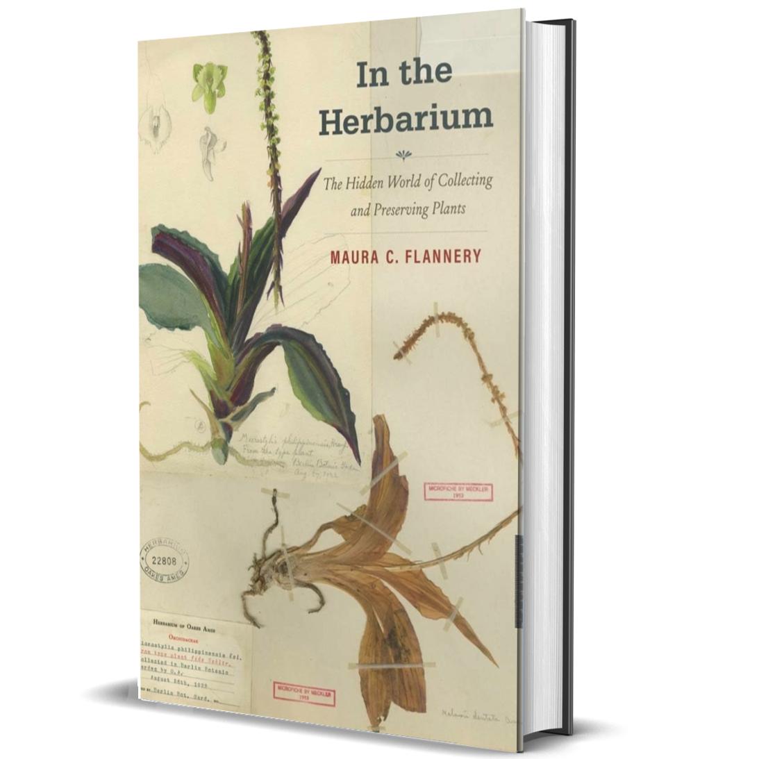 In the Herbarium: The Hidden World of Collecting and Preserving Plants ...