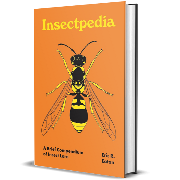 Insectpedia: A Brief Compendium of Insect Lore ²⁶ - BIOWEB USA