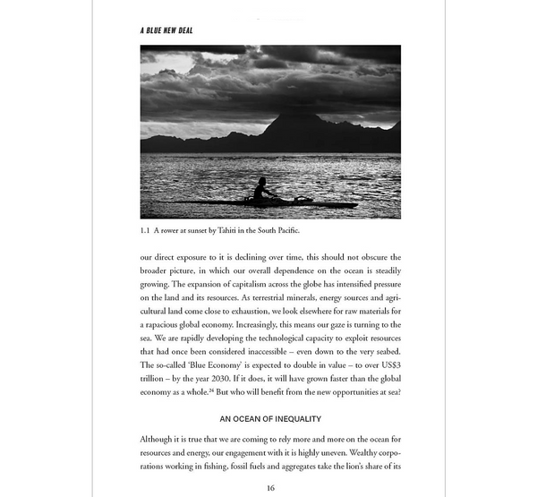 Look Inside Also Available: A Blue New Deal Why We Need a New Politics ...