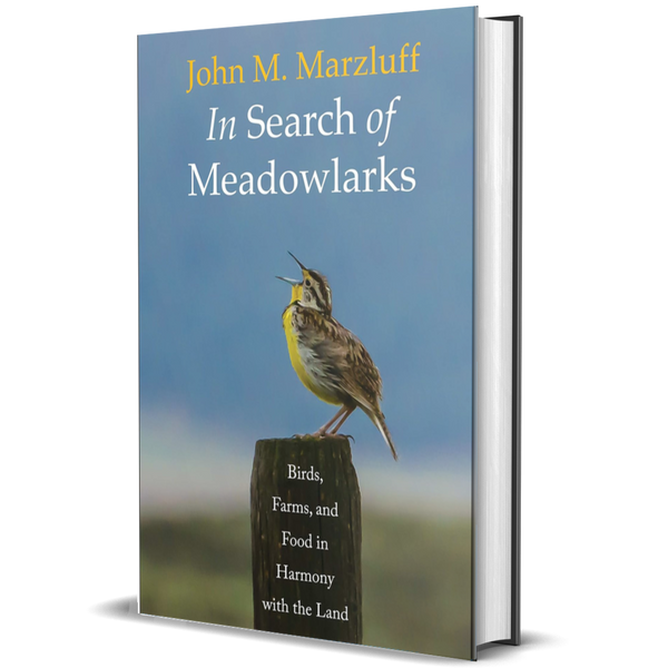 Look Inside Also Available: In Search of Meadowlarks - BIOWEB USA