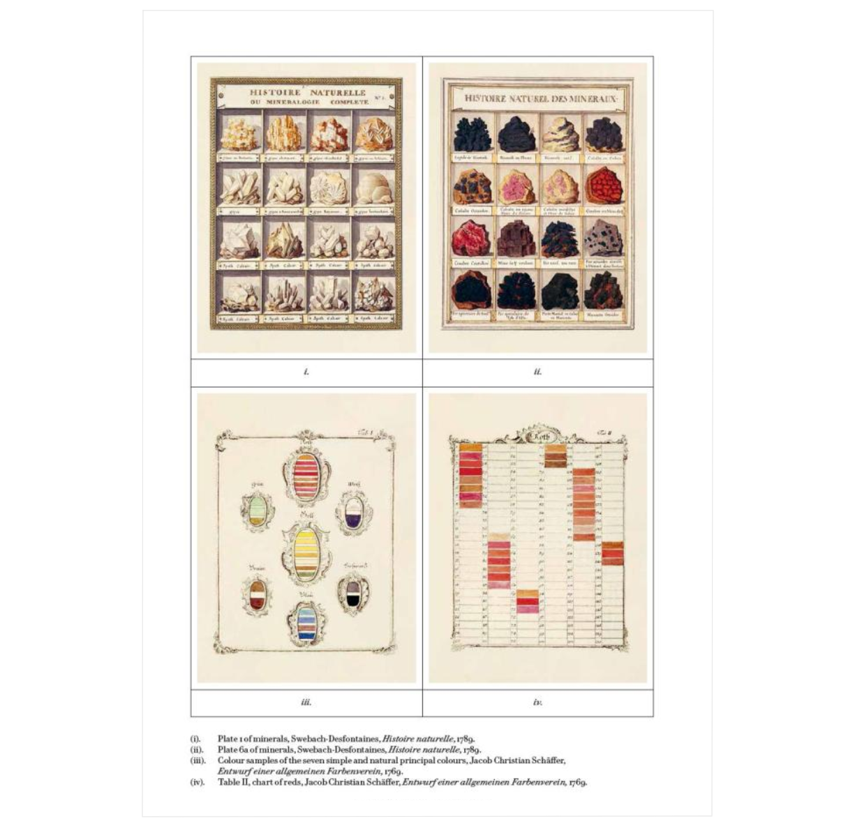 Art & Photography - BIOWEB USA