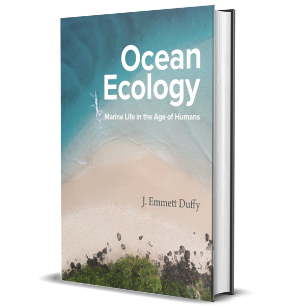 Ocean Ecology: Marine Life in the Age of Humans - BIOWEB USA