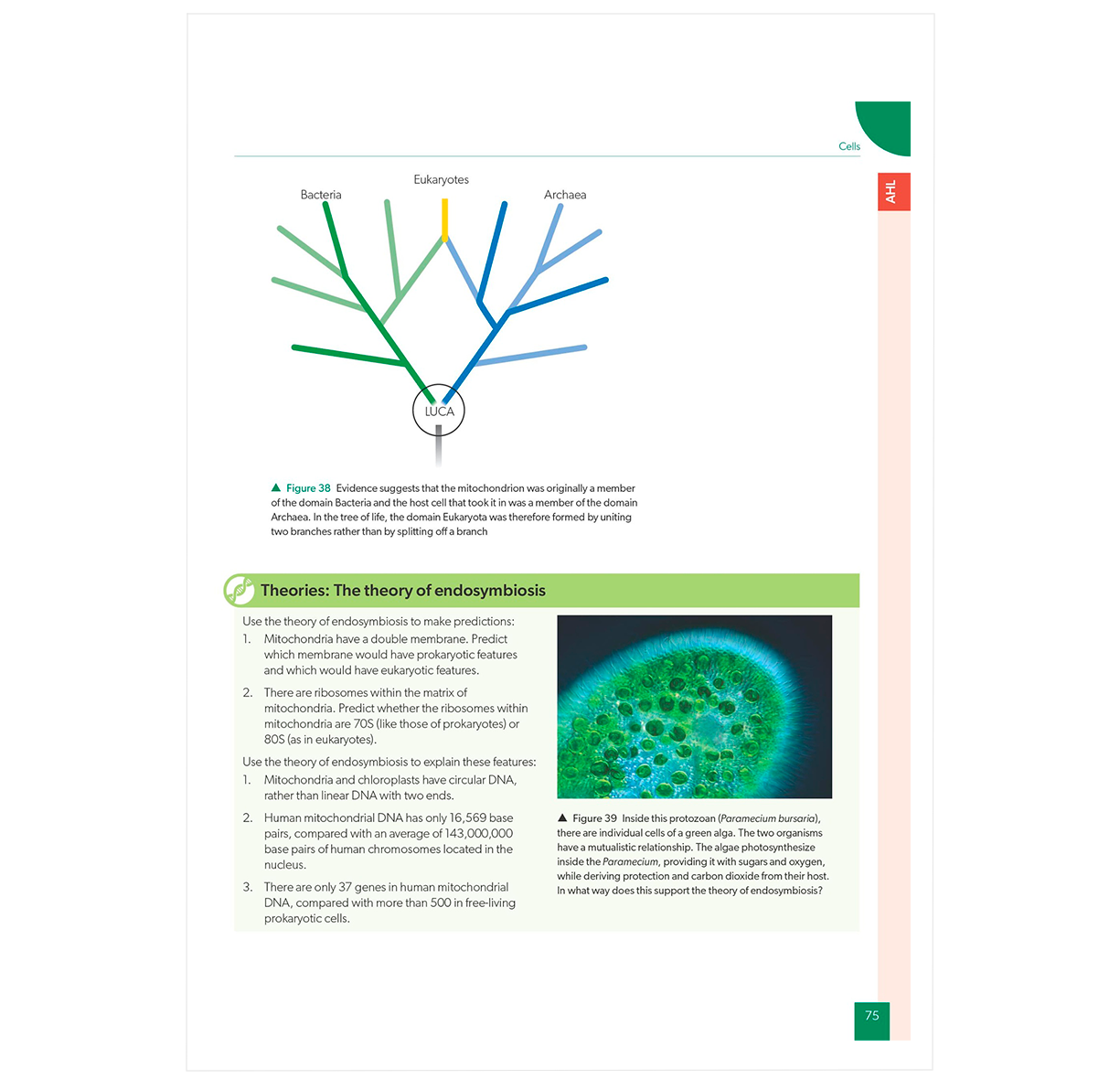 Oxford Resources for IB DP Biology Course Book - BIOWEB USA