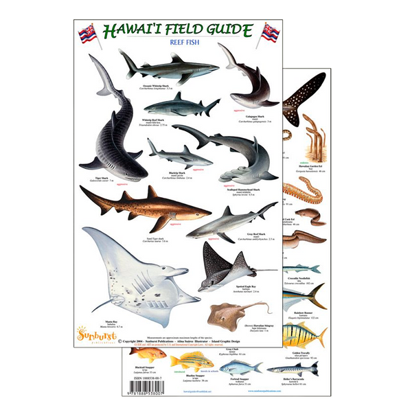 Hawaii Reef Fish #1 Identification Guide - BIOWEB USA
