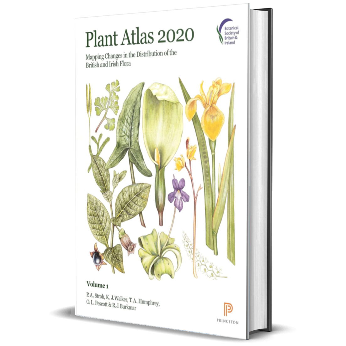 Plant Atlas 2020: Mapping Changes in the Distribution of the British a ...
