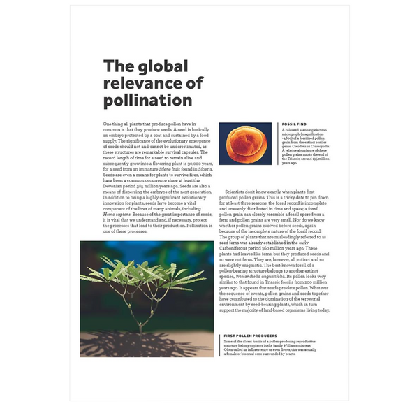 Pollination: The Enduring Relationship between Plant and Pollinator - BIOWEB Global