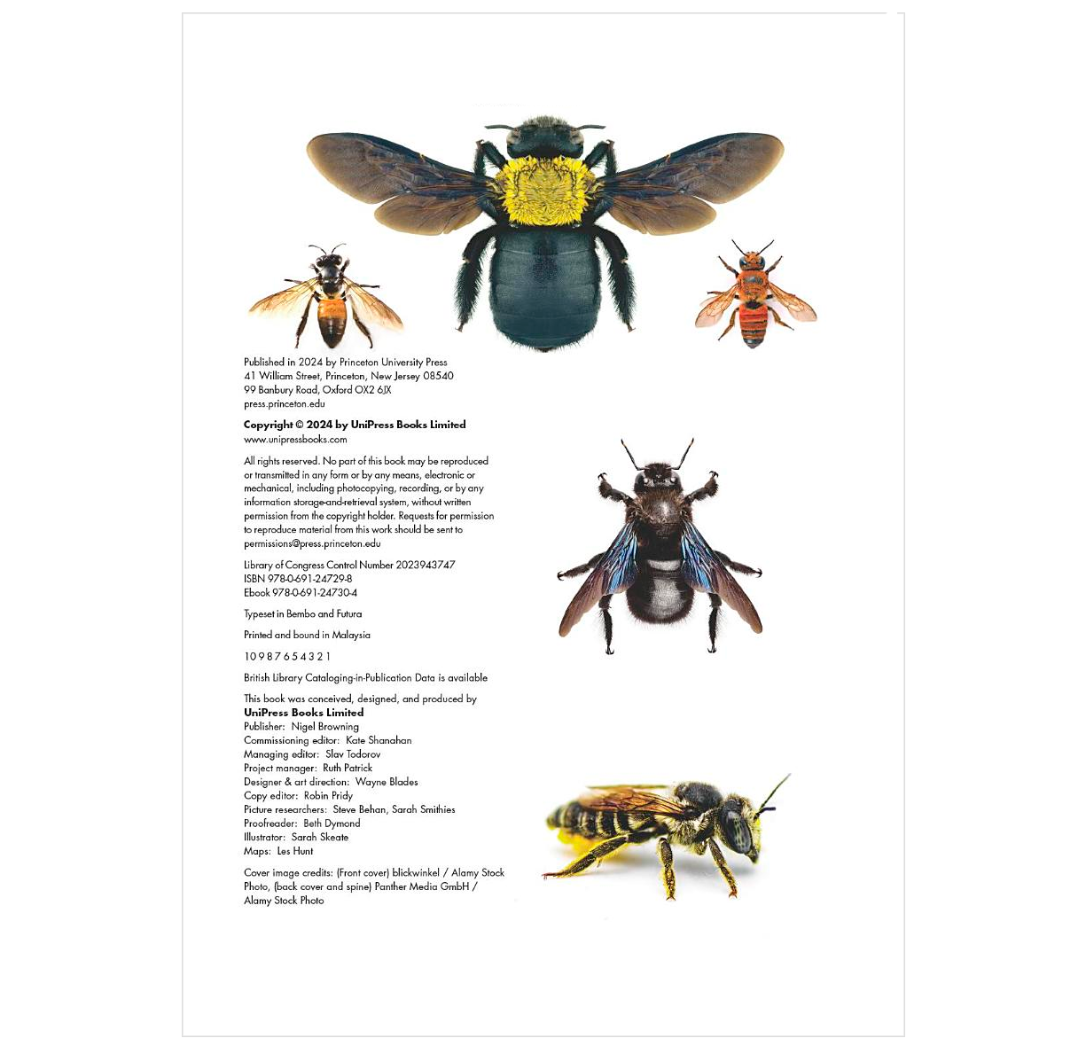 The Lives of Bees: A Natural History of Our Planet's Bee Life - BIOWEB USA