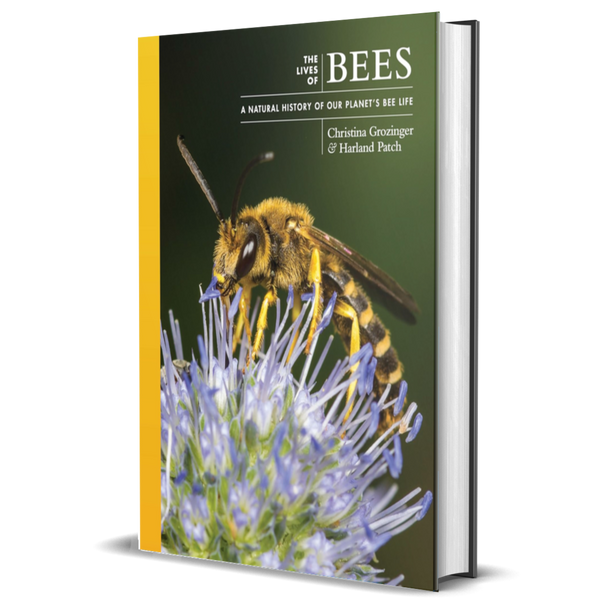 The Lives of Bees: A Natural History of Our Planet's Bee Life - BIOWEB USA