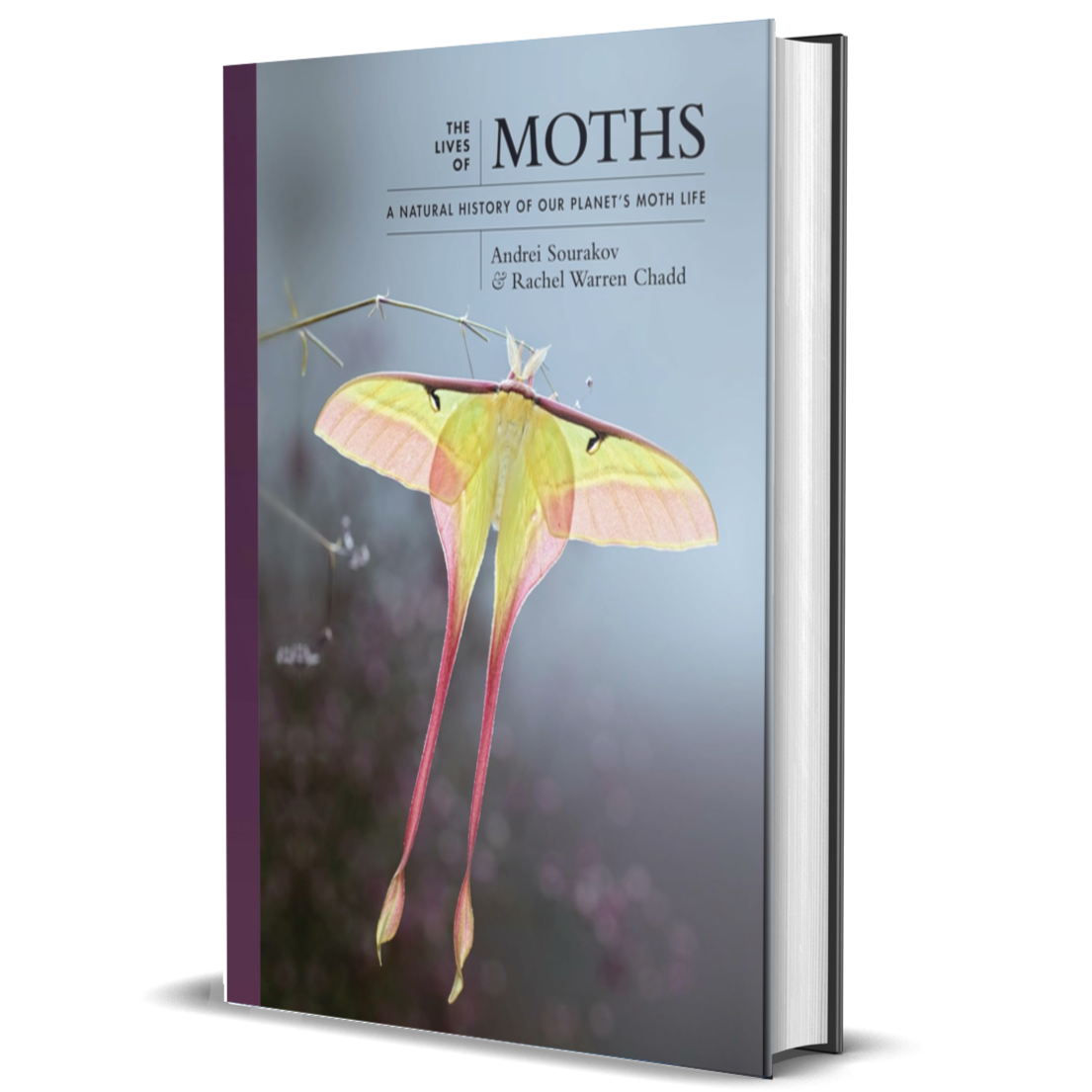 The Lives of Moths: A Natural History of Our Planet's Moth Life ...