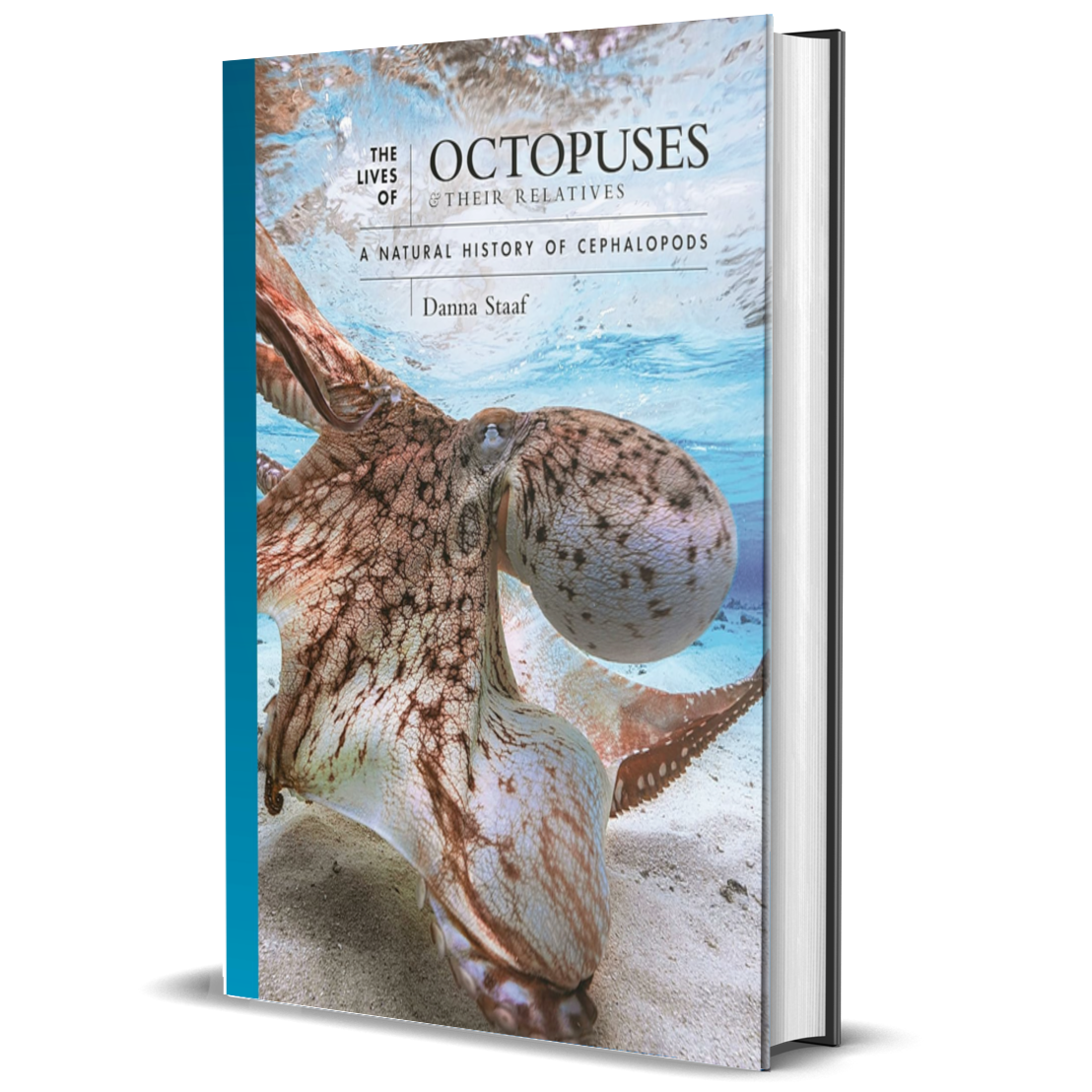 The Lives of Octopuses and Their Relatives: A Natural History of Cepha ...