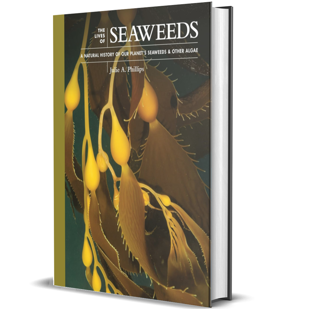The Lives of Seaweeds: A Natural History of Our Planet's Seaweeds and ...