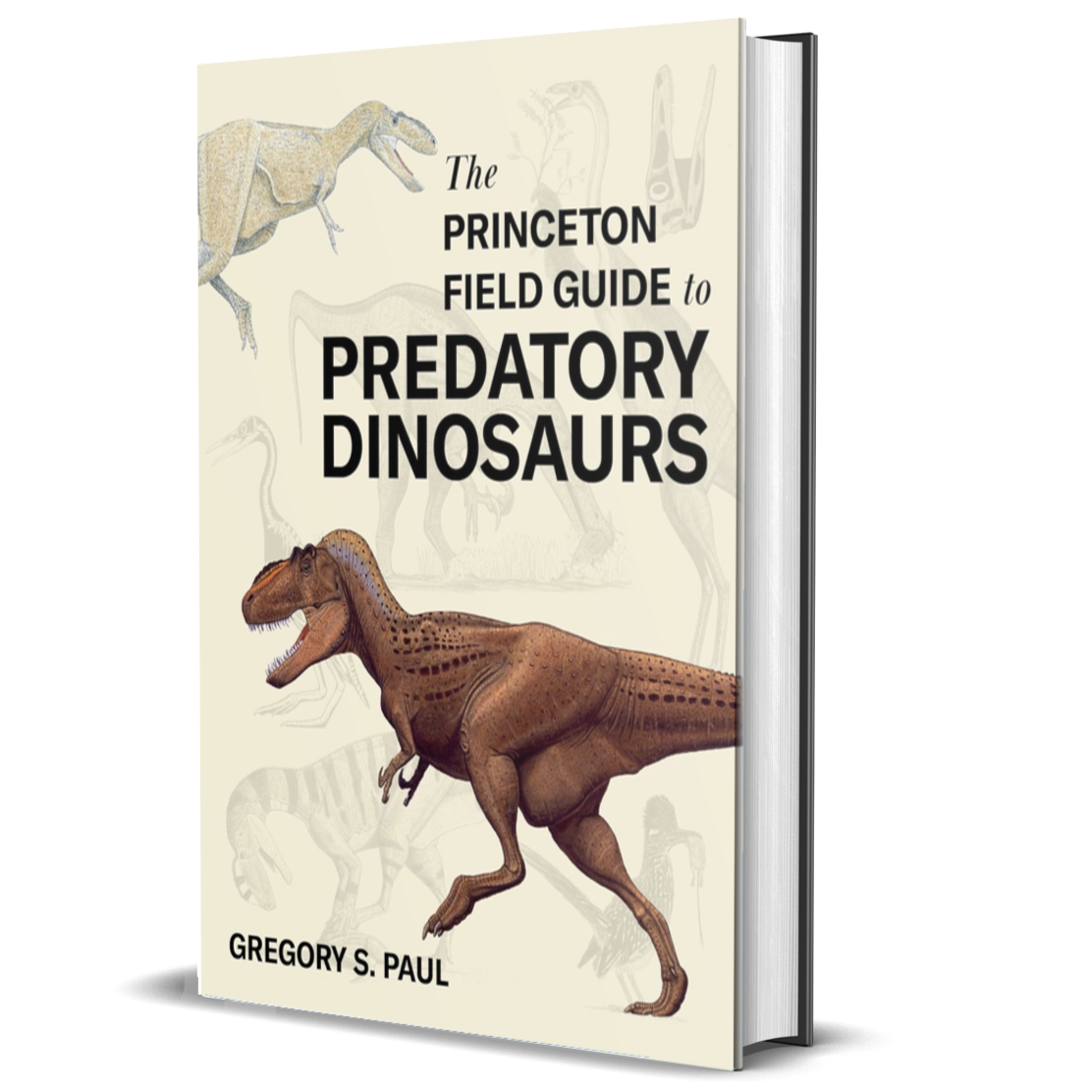 The Princeton Field Guide to Predatory Dinosaurs - BIOWEB Global