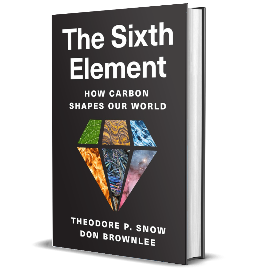 The Sixth Element: How Carbon Shapes Our World - BIOWEB USA