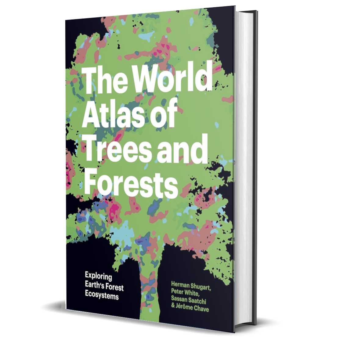 The World Atlas of Trees and Forests: Exploring Earth's Forest Ecosyst ...