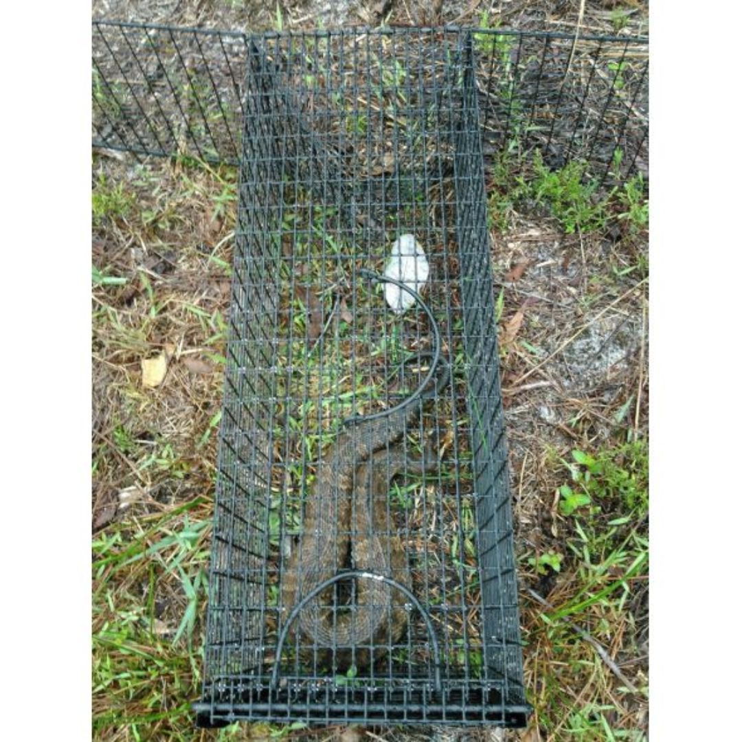 Tomahawk Snake Traps with Extension Wings - BIOWEB USA
