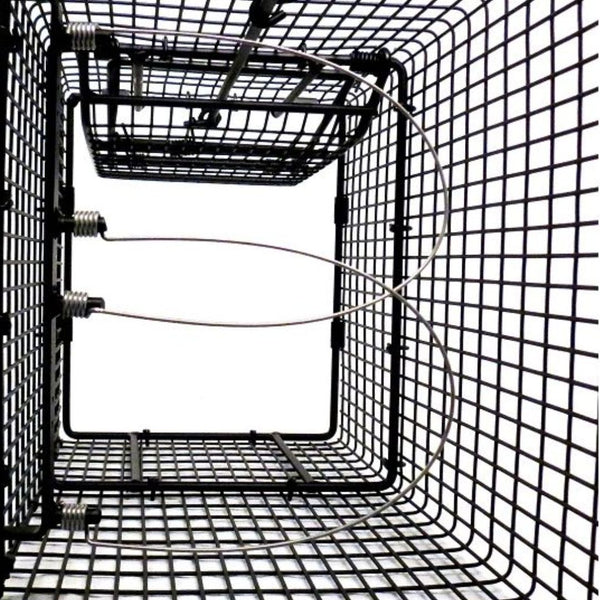 Tomahawk Comstock Double Door Traps With One Flush Mounted Door ²⁵ ...