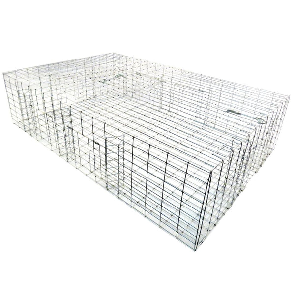 Tomahawk Pigeon Traps with Six Trap Doors ²⁵ - BIOWEB USA