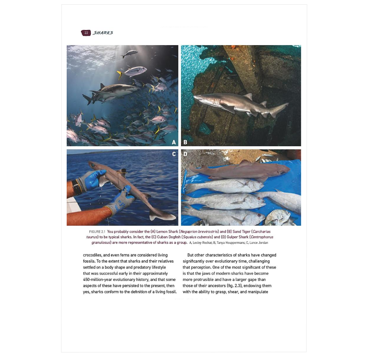 Tooth and Claw: Top Predators of the World - BIOWEB USA