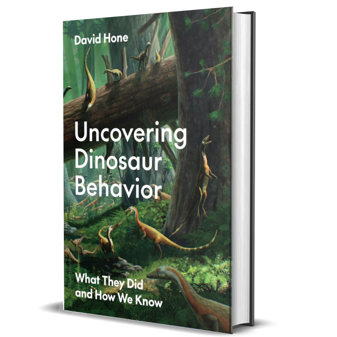 Uncovering Dinosaur Behavior: What They Did and How We Know - BIOWEB Global