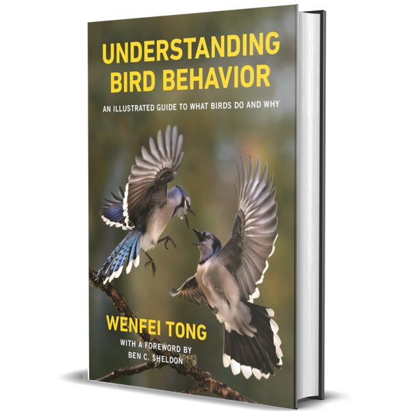Understanding Bird Behavior: An Illustrated Guide to What Birds Do and ...