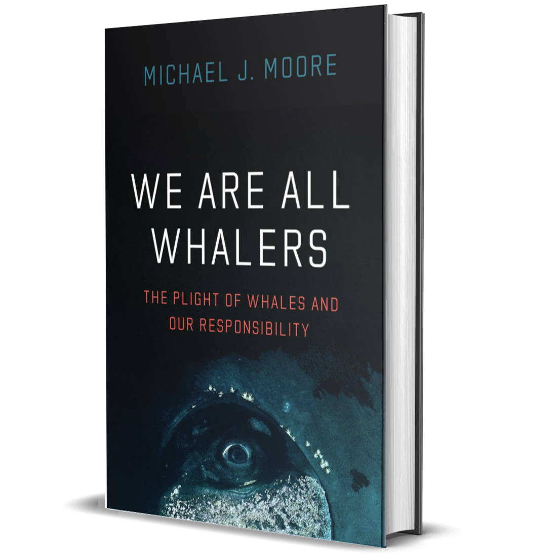 We Are All Whalers: The Plight of Whales and Our Responsibility ...
