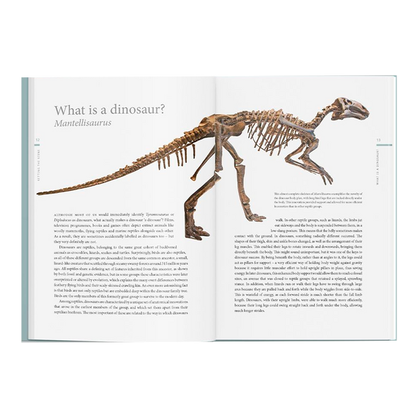 A History of Dinosaurs in 50 Fossils - BIOWEB USA