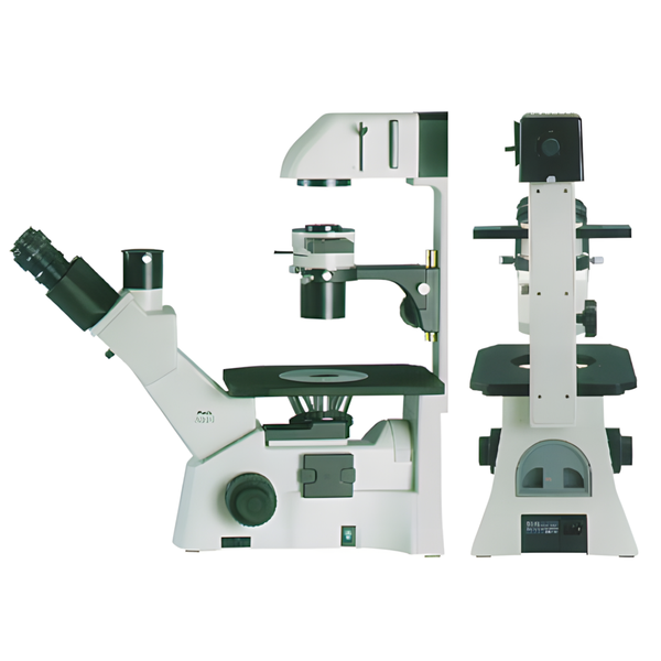 Motic AE31E Inverted Compound Microscope with Phase Contrast and Kohle ...
